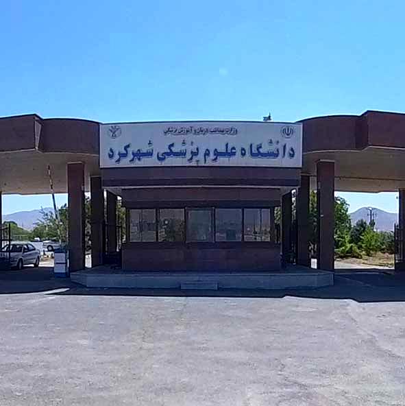 EducationIran